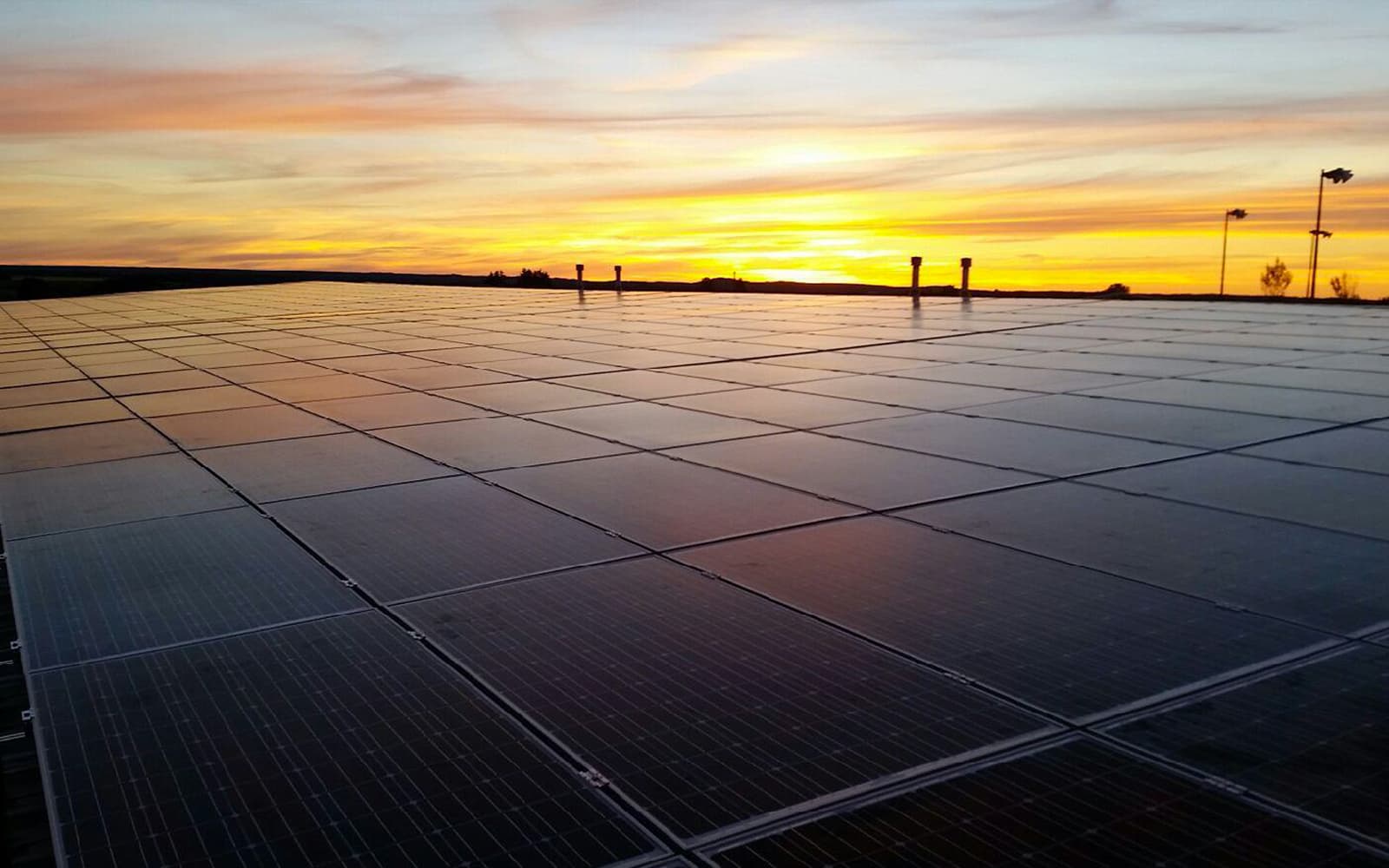 Invest in Solar Energy Projects for a Greener Future | Solar Share